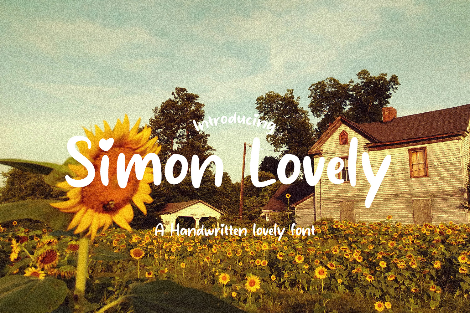 Simon Lovely - MJ Type