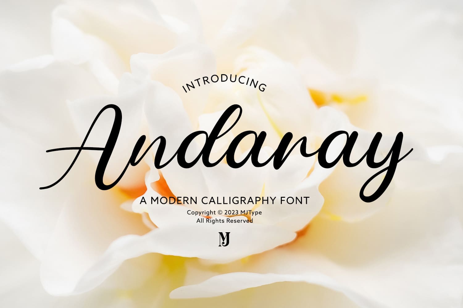 Andaray - MJ Type
