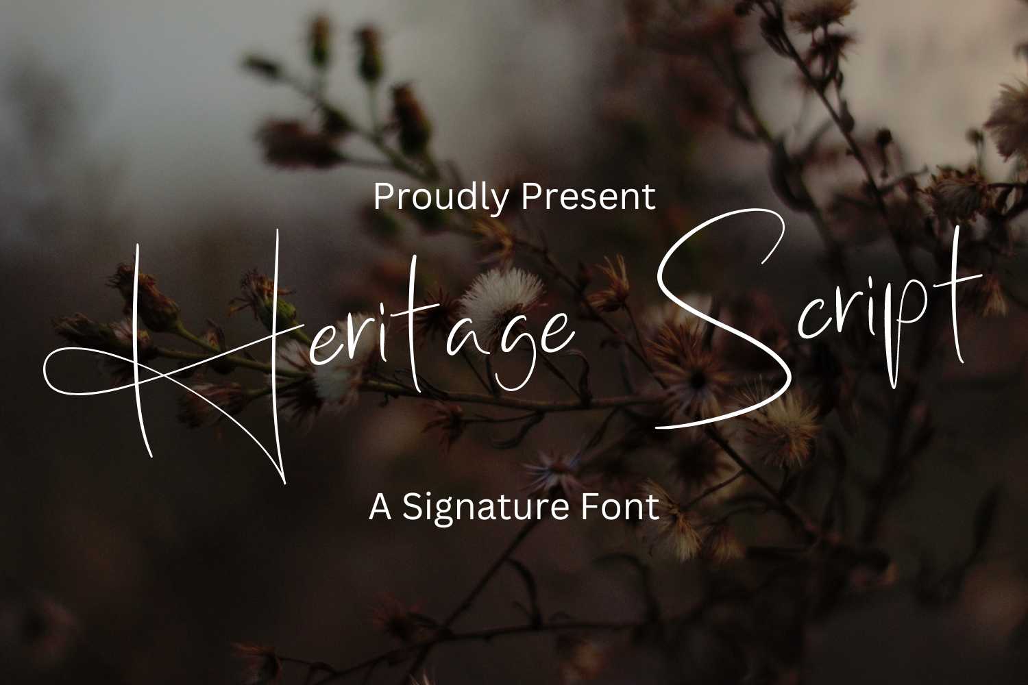 Heritage Script - MJ Type